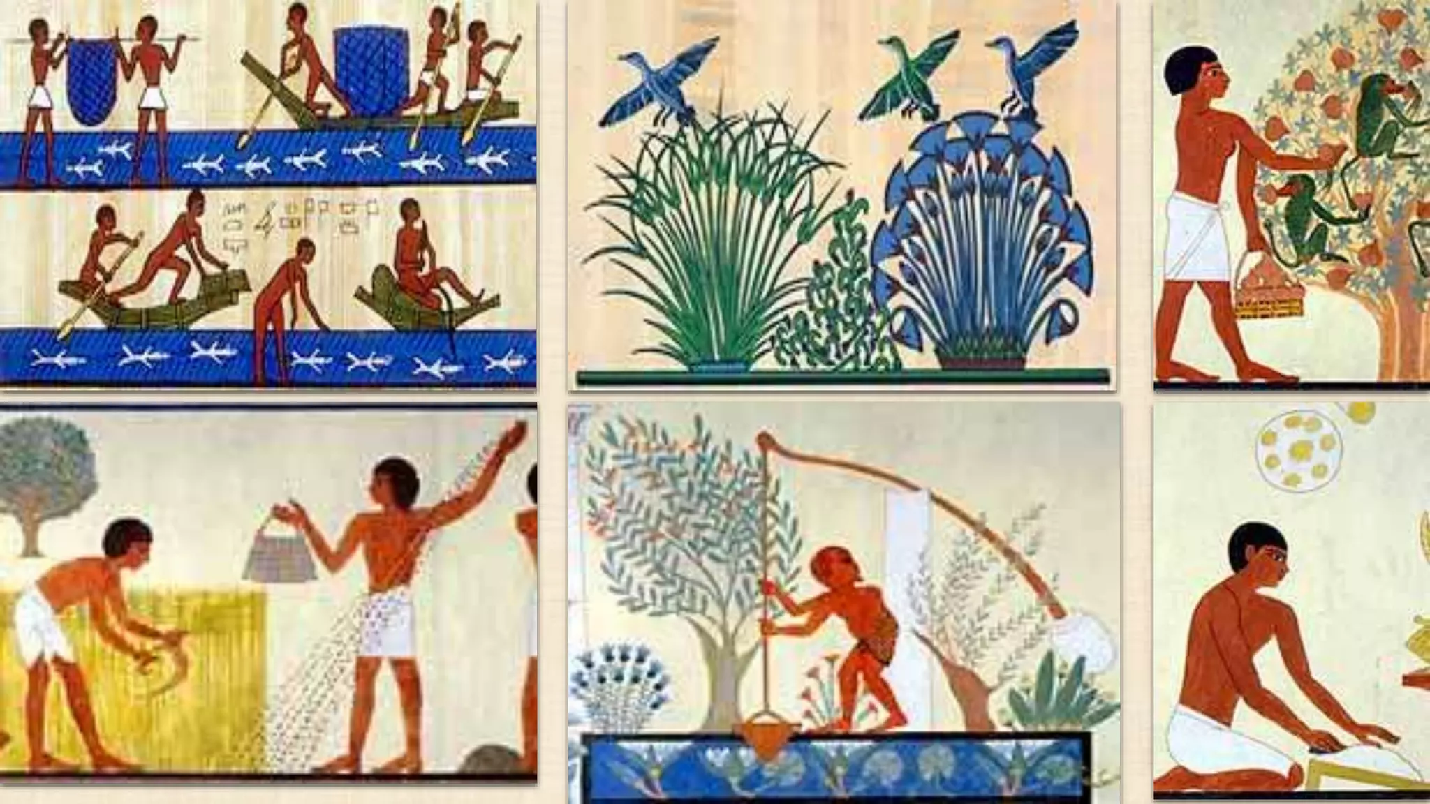 Ancient Egypt: Civilization and Culture | PPTX