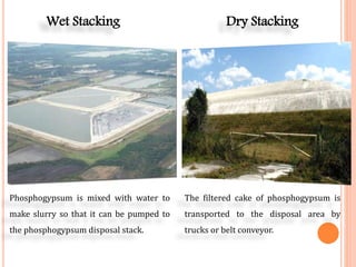 Application of UNFC in Egypt: lessons learned | PPT