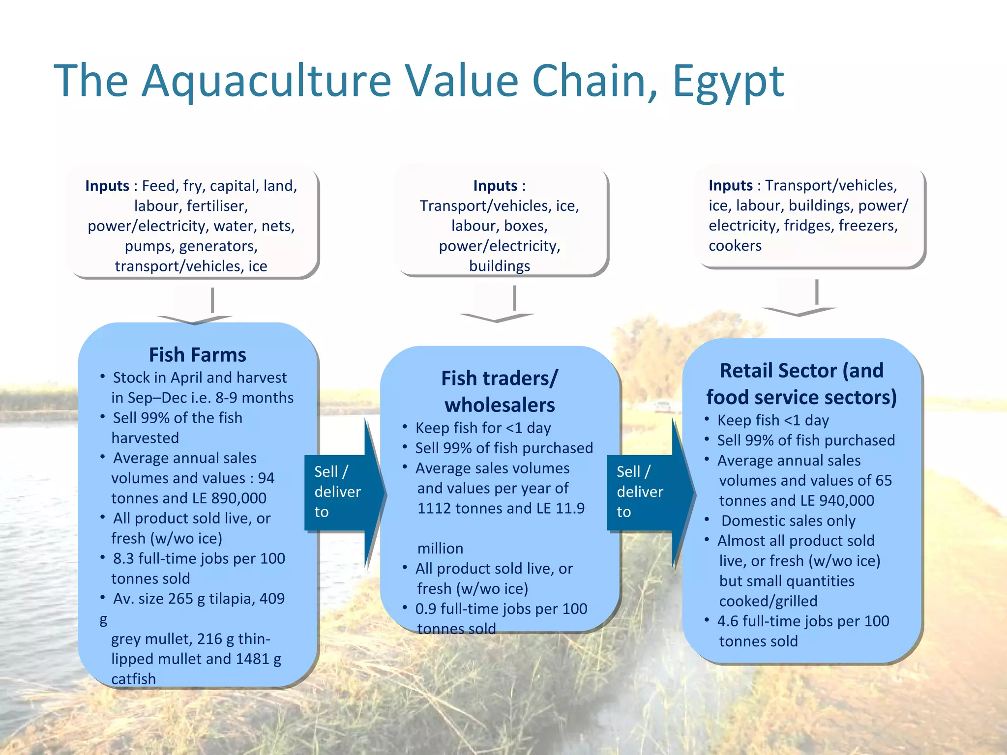 Update on Egyptian aquaculture value chain development | PPT