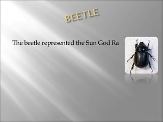 Egyptian Animals | PPT | Dogs | Pets