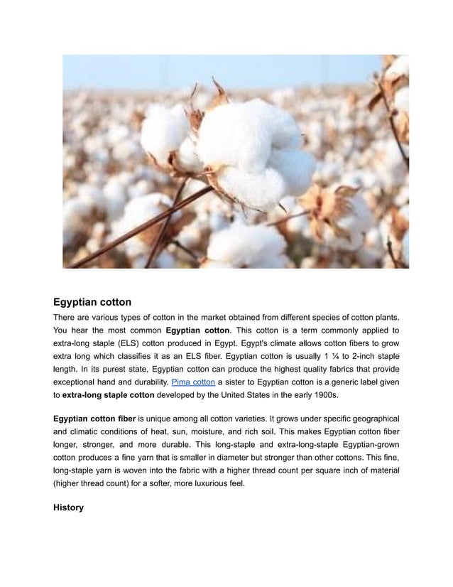 Egyptian cotton.pdf