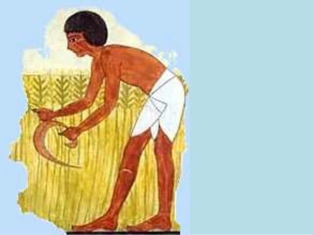 Ancient Egyptian Farming and Seasons of the Nile