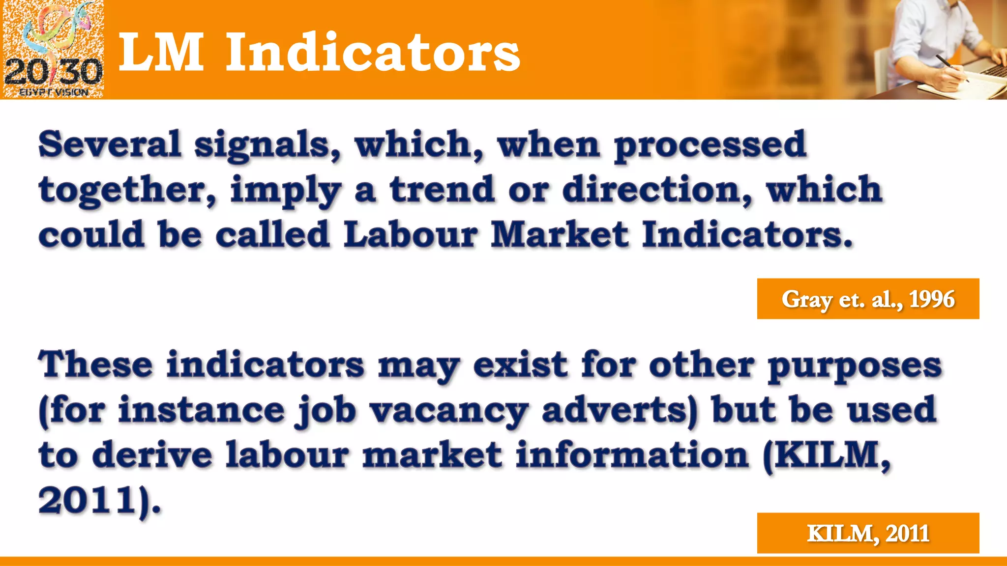 Egyptian LMIS, the conceptual framework | PDF | Business and Finance