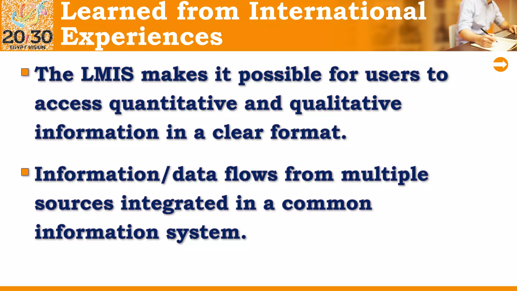 Egyptian LMIS, the conceptual framework | PDF | Business and Finance