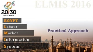 Egyptian LMIS, the conceptual framework | PDF | Business and Finance