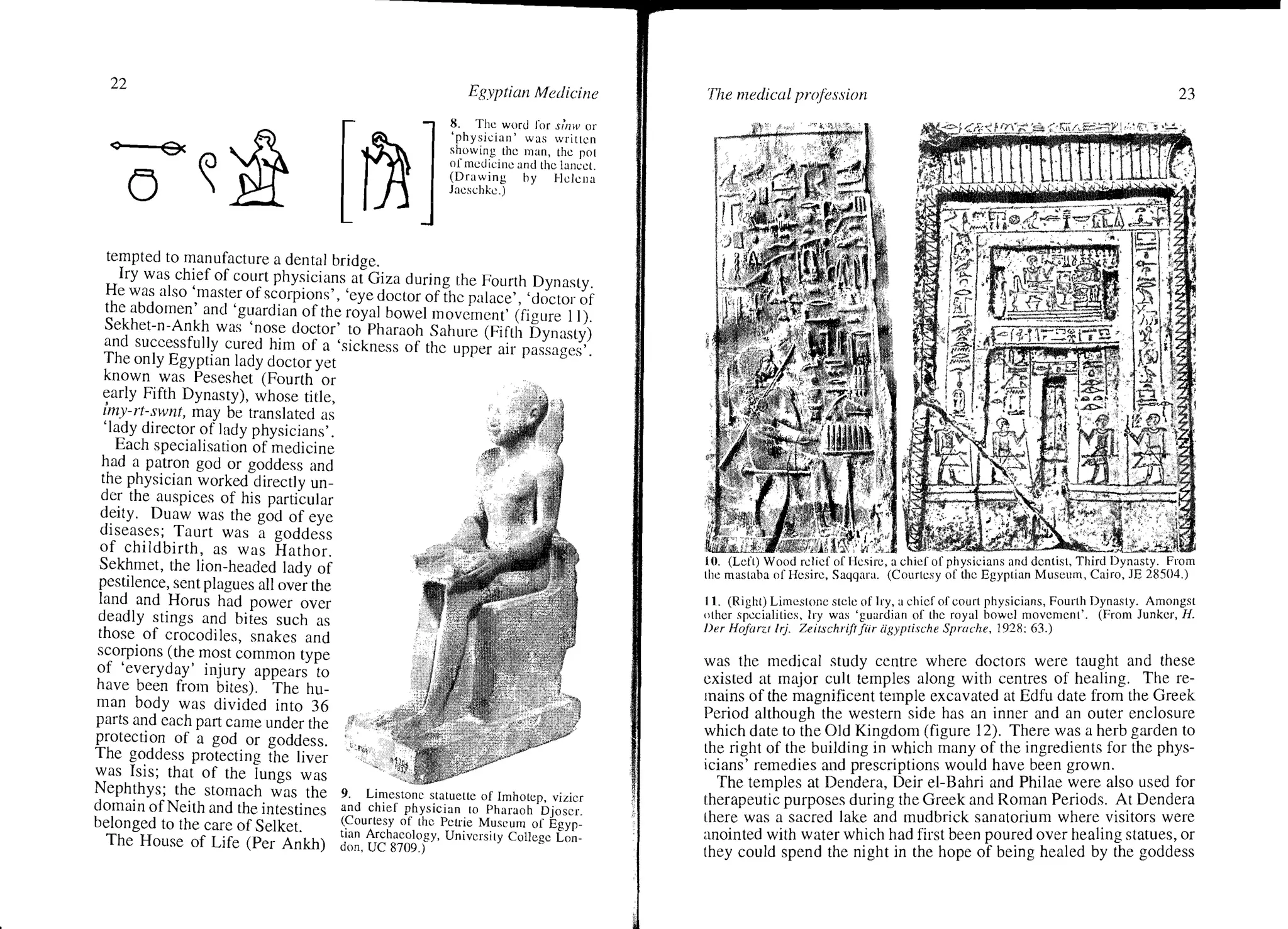 Egyptian medicine | PDF