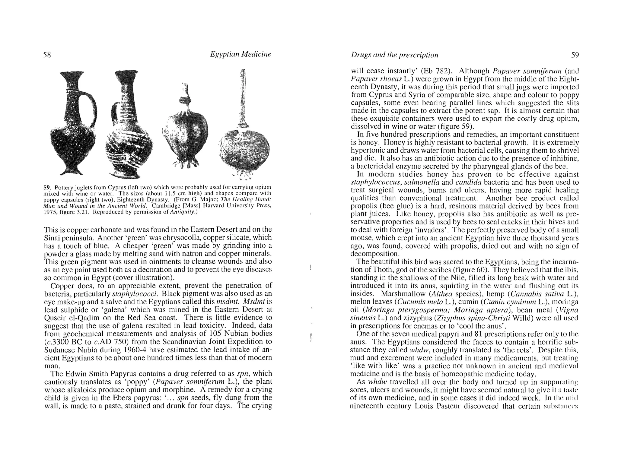 Egyptian medicine | PDF