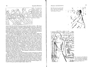 Egyptian medicine | PDF