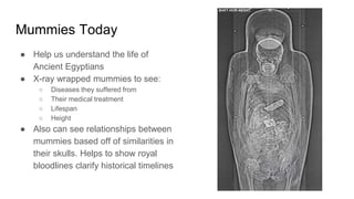 Egyptian mummification | PPT
