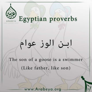 Learn Egyptian proverbs and sayings with Arabeya 2017 | PPSX