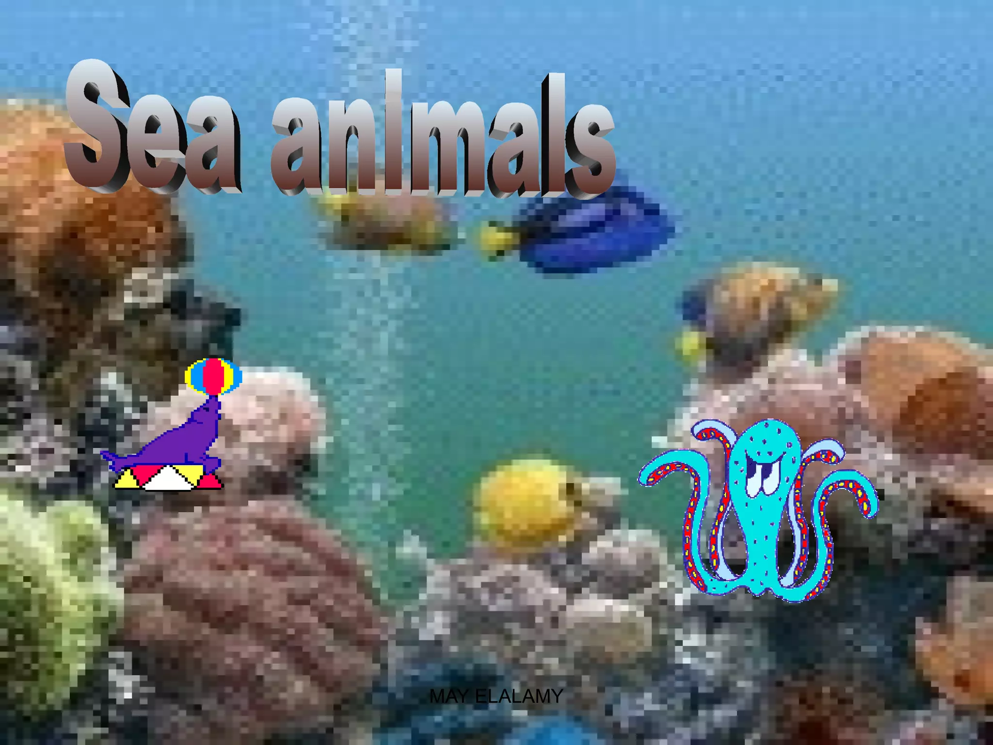 LESSON //Sea animals | PPT