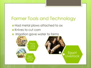 Egypt Tools, Technology And Science | PPTX