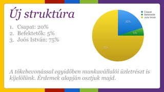 Befektetői Felhívás – Együgyű Kft. | PPT