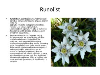 Egzocitne vrste biljaka BiH | PPTX