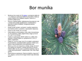 Egzocitne vrste biljaka BiH | PPTX