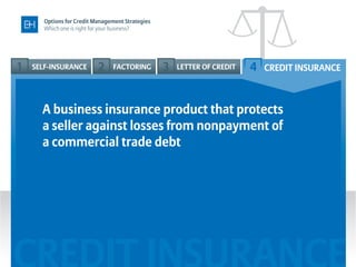 Options for Credit Management Strategies | PDF