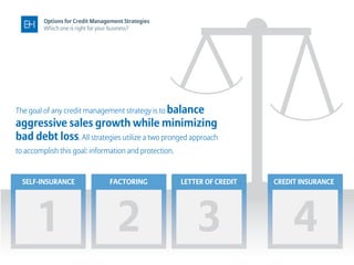 Options for Credit Management Strategies | PDF