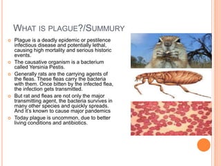 Eh203 infectious & lifestyle diseases-Plague by JOSHUA SELI | PPTX