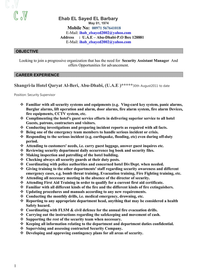 Ehab's c.v of may 2010 (2) | PDF