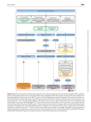 guidelines management ventricular tachycardia.pdf