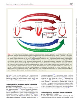 ehac395.pdf | Heart and Cardiovascular Diseases | Diseases and Conditions