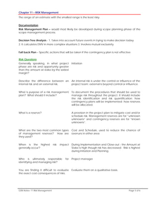 11 risk management | PDF
