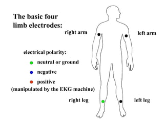 A brief introduction to the standard 12-lead ECG (EKG) | PPT