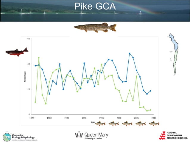 Altered food web structure | PPT | Biological Sciences | Science