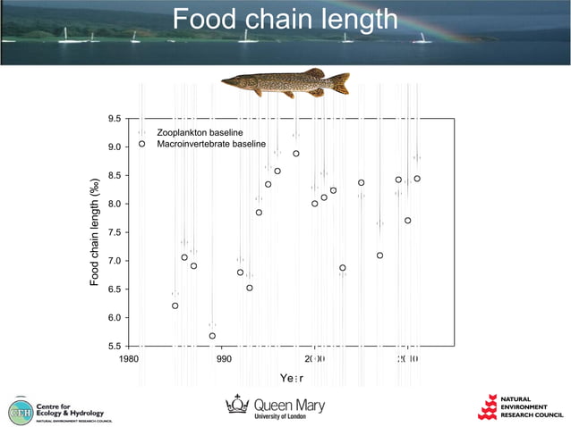 Altered food web structure | PPT | Biological Sciences | Science