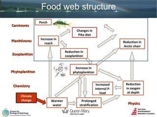 Altered food web structure | PPT | Biological Sciences | Science