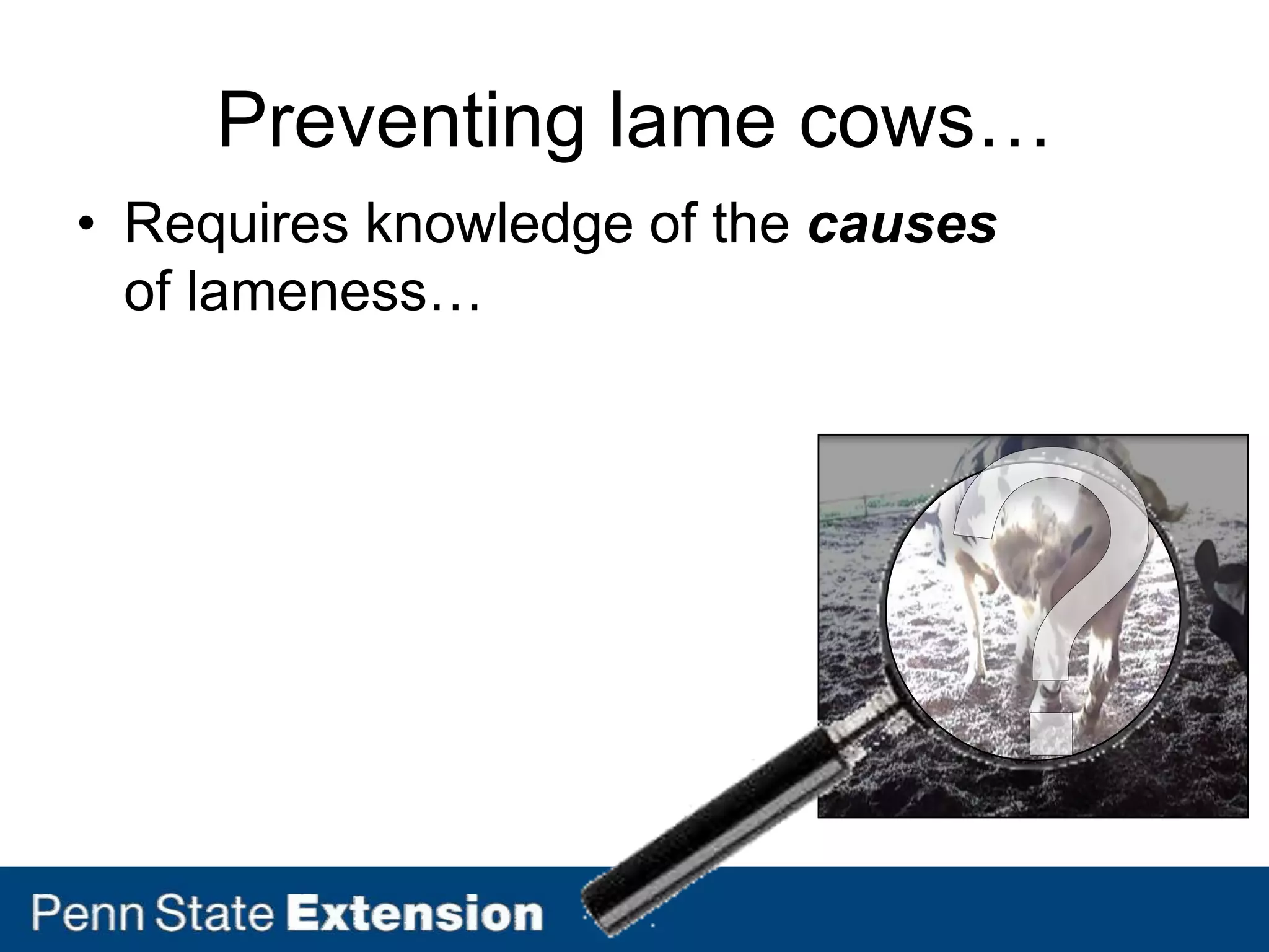 Lameness, Hoof, and Leg Issues in Dairy Cattle- Ernest Hovingh | PPTX