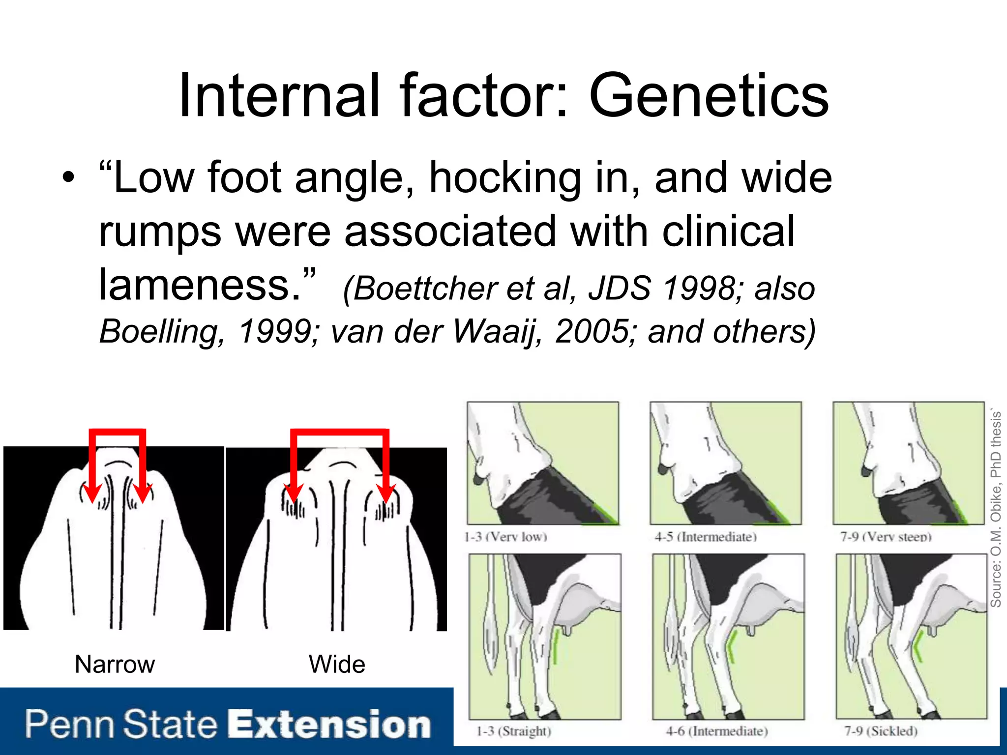 Lameness, Hoof, and Leg Issues in Dairy Cattle- Ernest Hovingh | PPTX