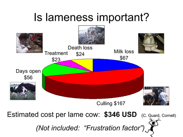 Lameness, Hoof, and Leg Issues in Dairy Cattle- Ernest Hovingh | PPTX | Veterinary Medicine | Pets
