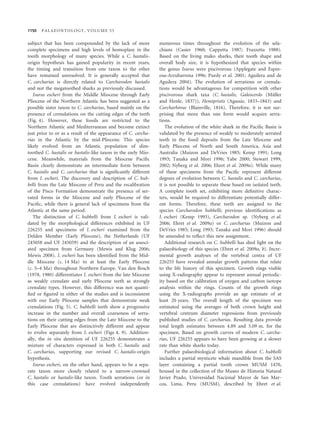 Ehret et-al.-2012 carcharodon-hubbelli | PDF