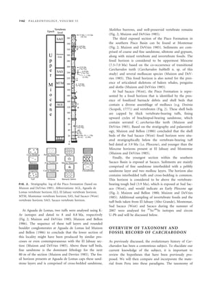 Ehret et-al.-2012 carcharodon-hubbelli | PDF