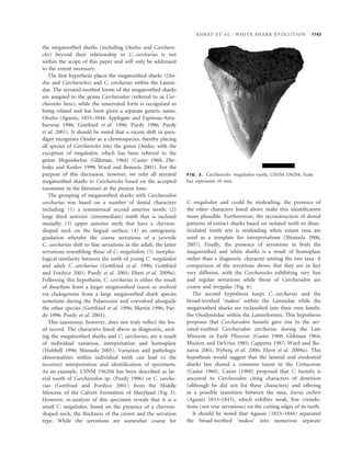 Ehret et-al.-2012 carcharodon-hubbelli | PDF