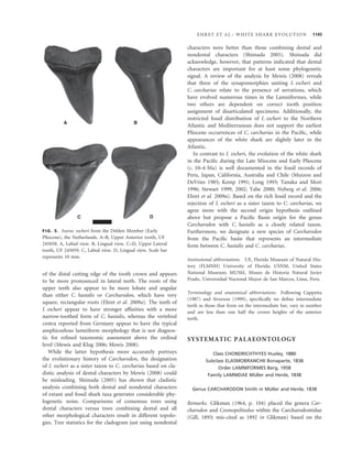 Ehret et-al.-2012 carcharodon-hubbelli | PDF