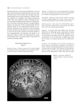 Ehret et-al.-2012 carcharodon-hubbelli | PDF