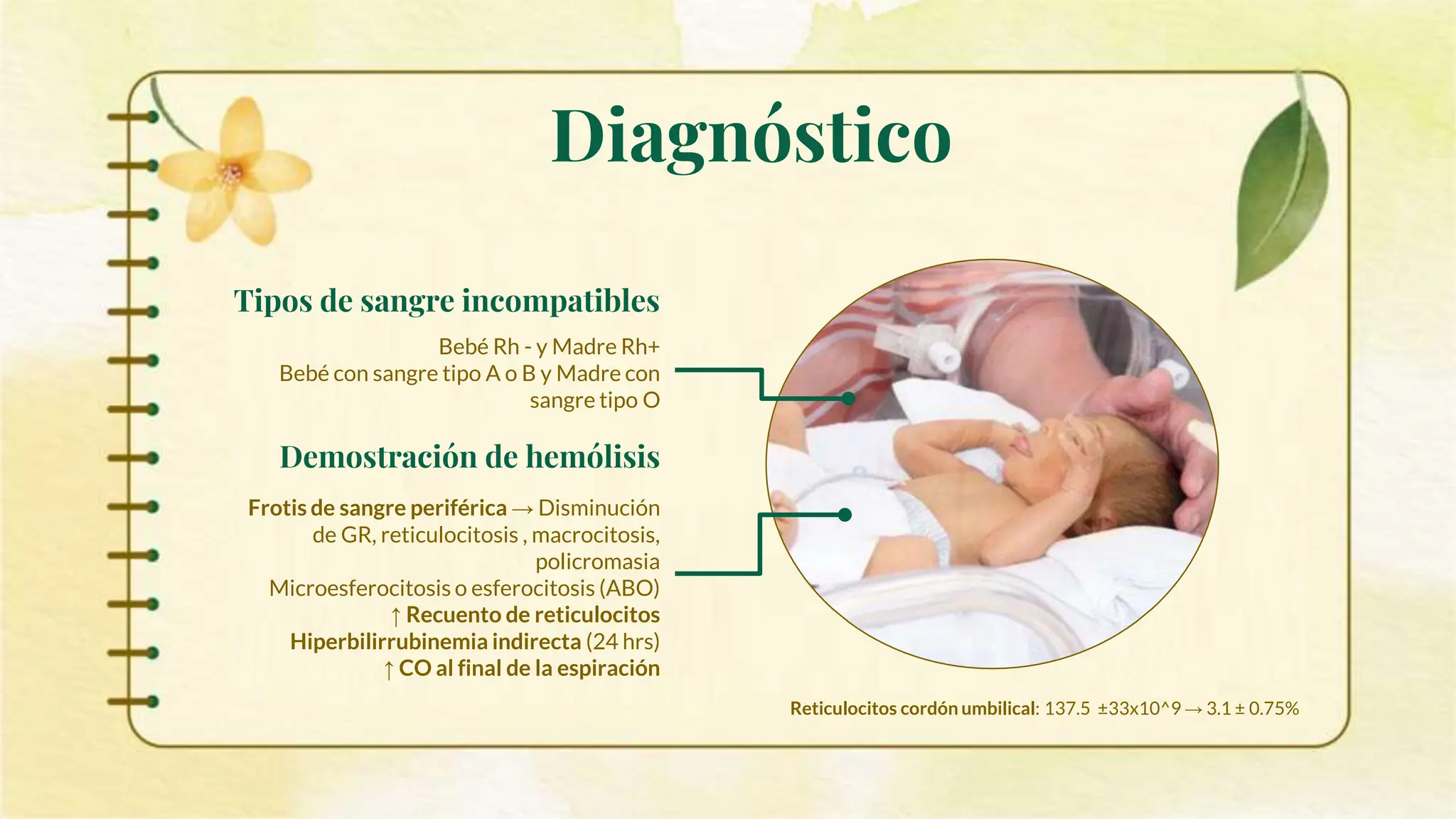 Enfermedad Hemolítica del Recién Nacido por Incompatibilidad Rh Y ABO ...