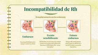 Enfermedad Hemolítica del Recién Nacido por Incompatibilidad Rh Y ABO ...