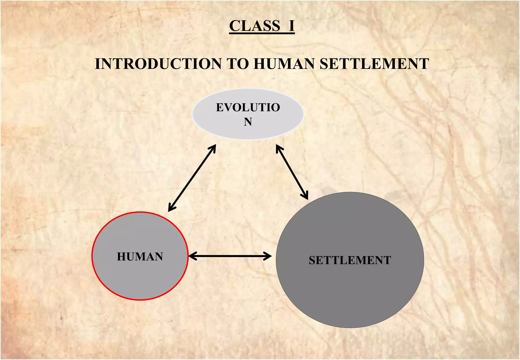 HUMAN SETTLEMENTS | PPTX