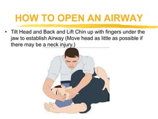 Ehs3. aim, principles and rules of first aid | PPTX