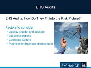 Successful EHS Auditing Insights from a Client's Perspective | PPT