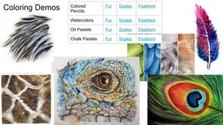 Create a Creature Artwork Project Introduction | PPTX
