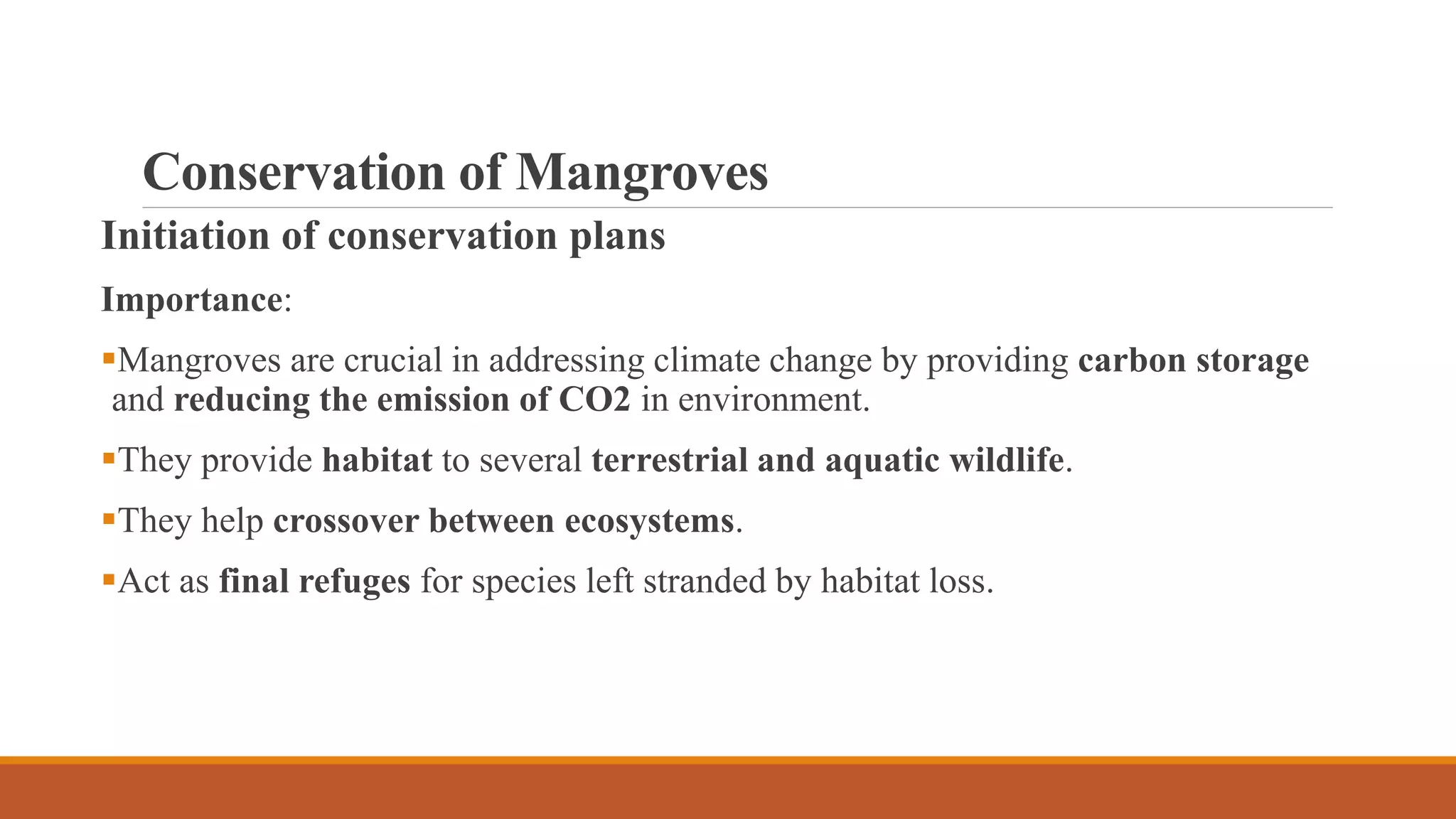 Mangroves.ppt