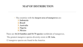 Mangroves.ppt