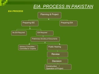 Eia pakistan perspective | PPTX