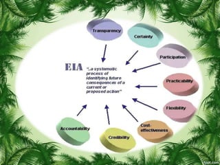 ENVIRONMENT IMPACT ASSESSMENT | PPTX