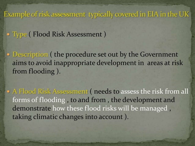Environmental Risk Assessment by Mhammed Nour | PPTX | Environment ...