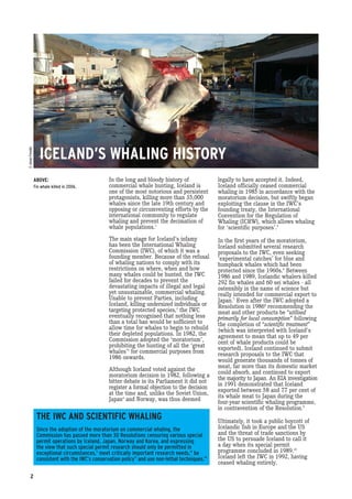 RENEGADE WHALING: | PDF